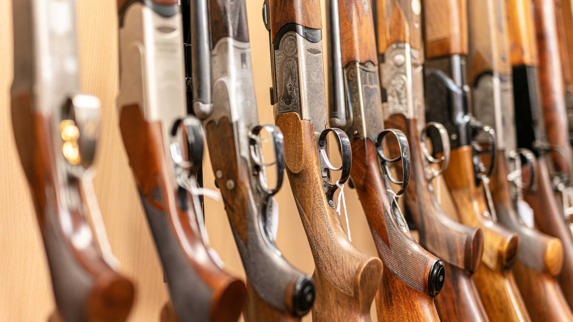 FZH Waffen GmbH | The world of firearms